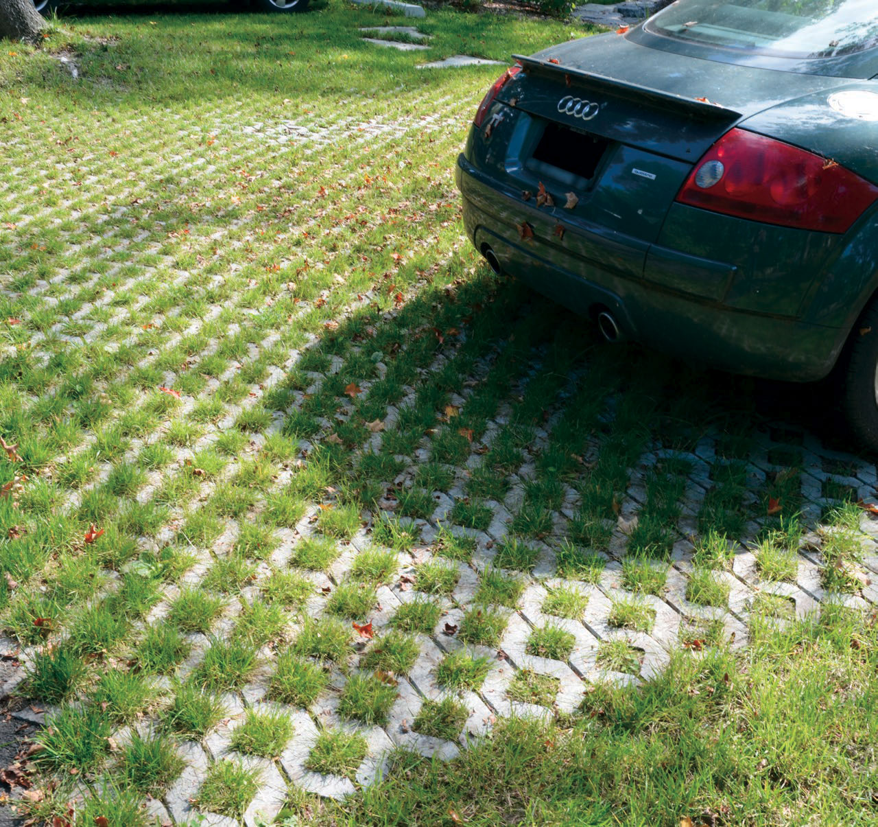 Groupe Richer | Pavé perméable TURF-SLAB (80 mm)