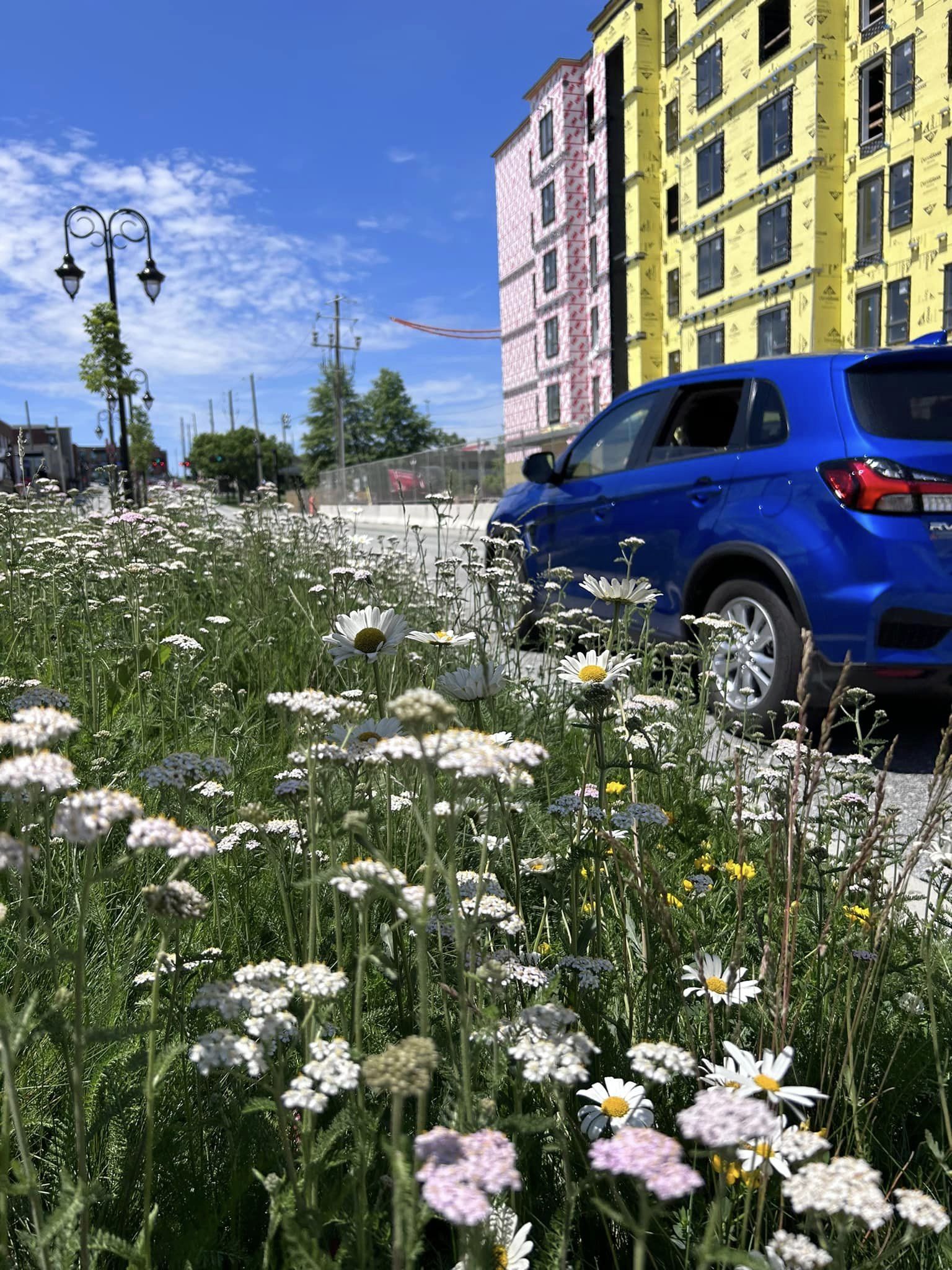 Groupe Richer | Pré Fleuri